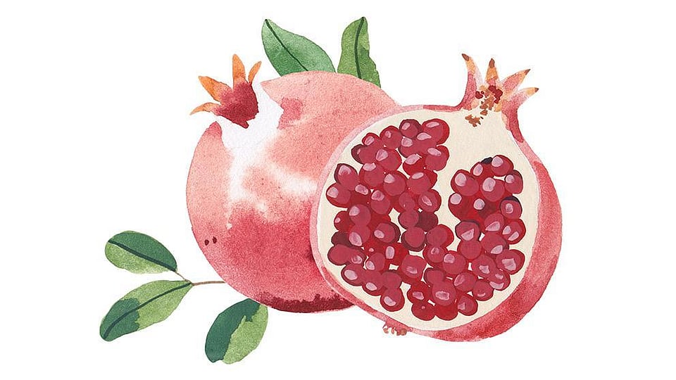 Rutulinis dezodorantas su šaltalankiais Weleda - už